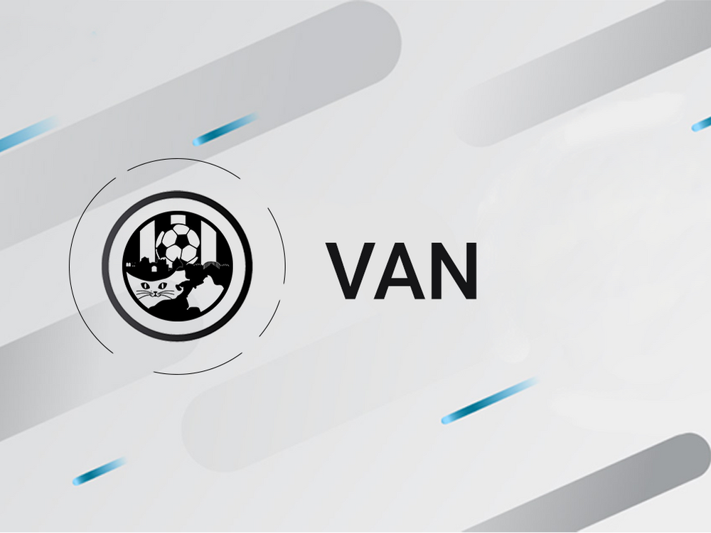 Vanspor Token (VAN) | Bitexen Research