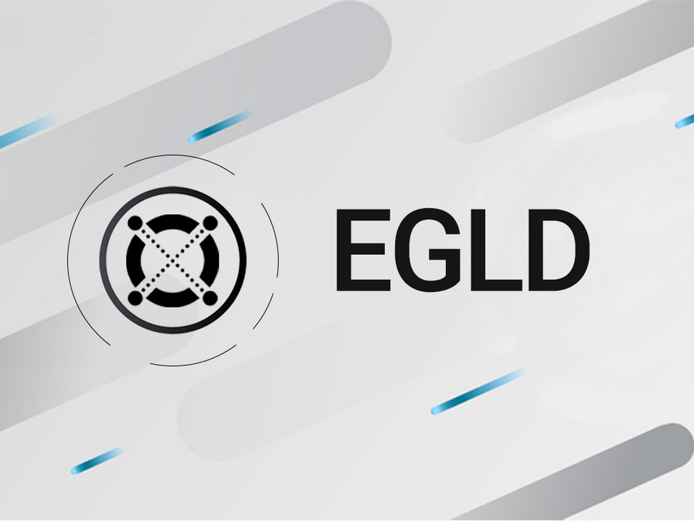Elrond (EGLD) | Bitexen Research