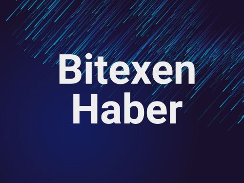 Wikileaks ile Dijital Sanatçı Murat Pak, NFT Koleksiyonu Başlatmak İş ...